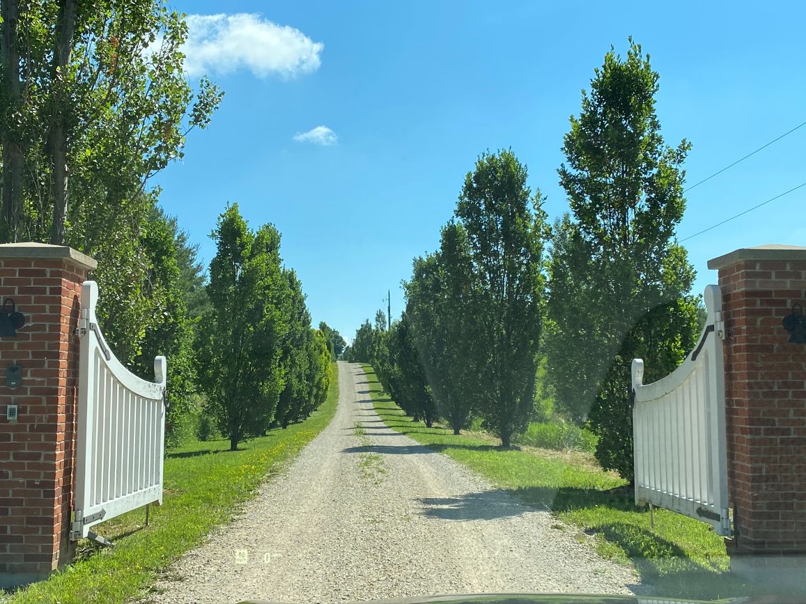 Creemore & Mulmur - Leeanne Weld